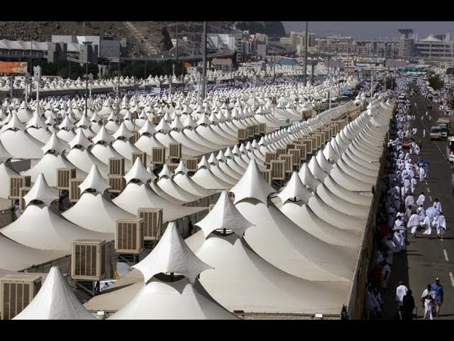 Reciting the Words of Guidance: A Beginner's Guide to Hajj's Most ...